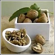 Buy Nut Trees - Ty Ty Nursery